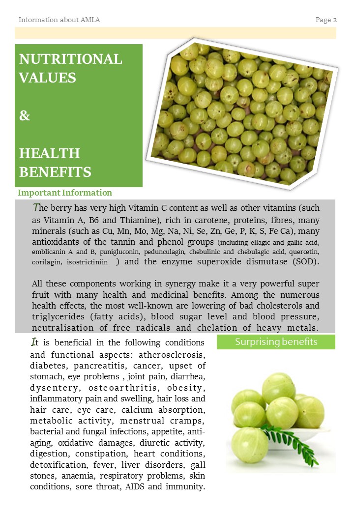 Amla Powder – Implant Resources Centre (Far East) Limited